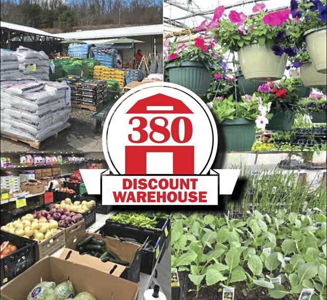 3951419_web1_3804piclogo