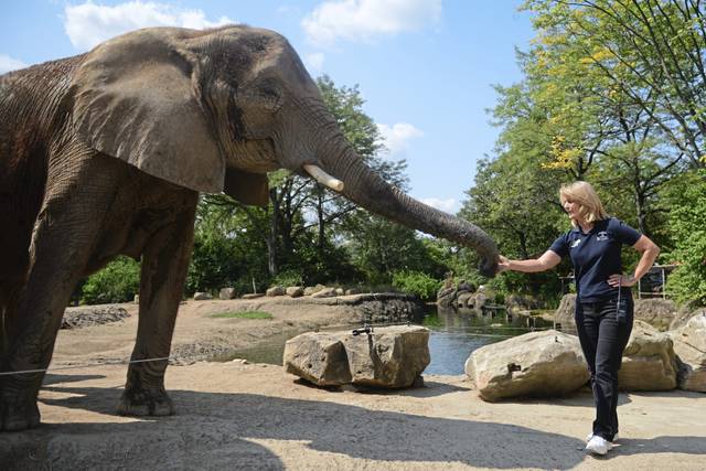 3983823_web1_ptr-zoo04-082915