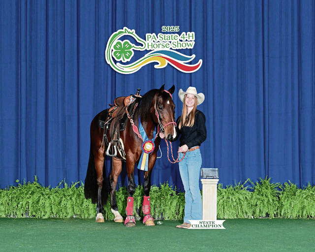Bond between student, horse shines with 1st title win at Pennsylvania 4 ...