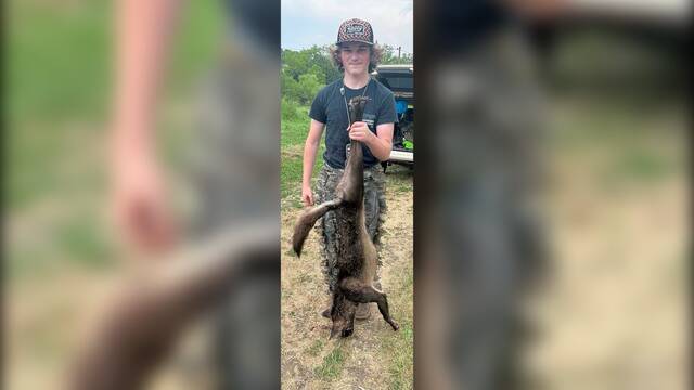 Police say Bradenville taxidermist accepted animals, payment but never ...