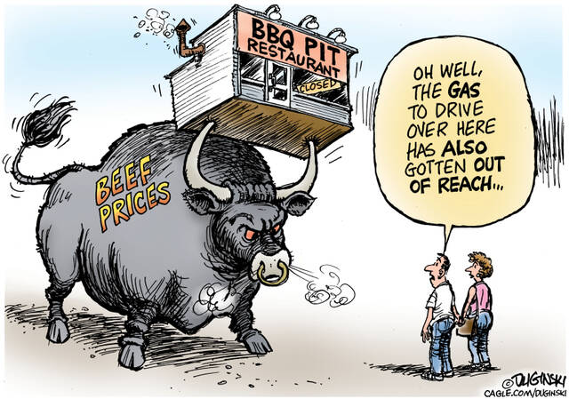 Editorial cartoons for the week of June 1